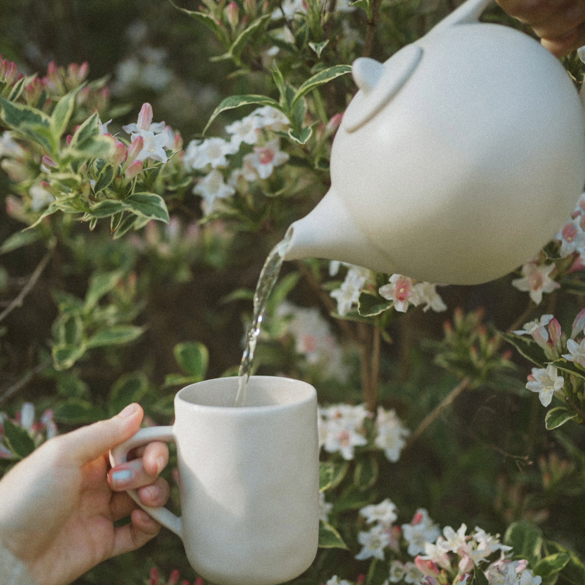 Spring Teas - Loose Leaf Teas for Springtime – Heavenly Tea Leaves