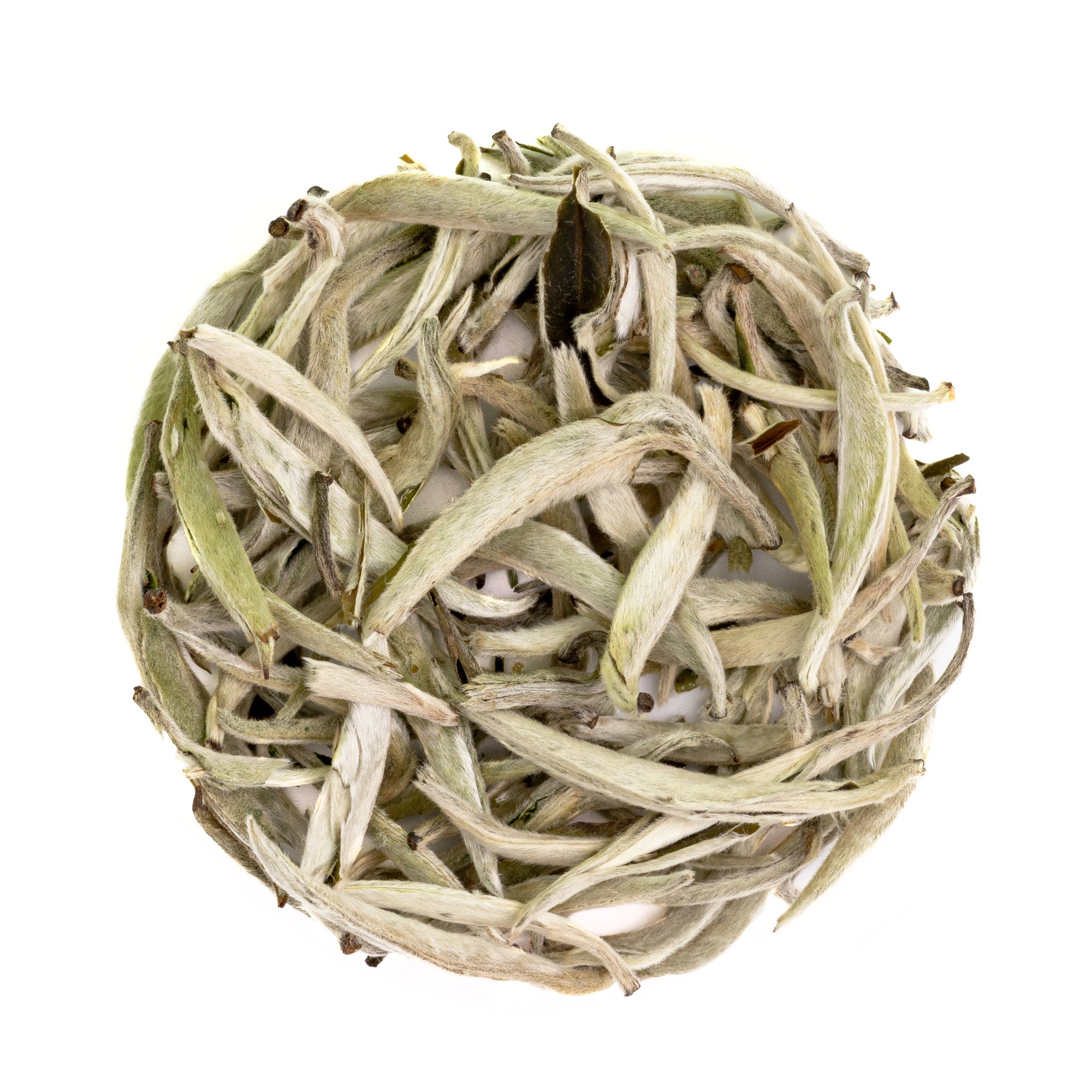 Organic Silver Needle, Artisan Loose Leaf White Tea – Heavenly Tea Leaves